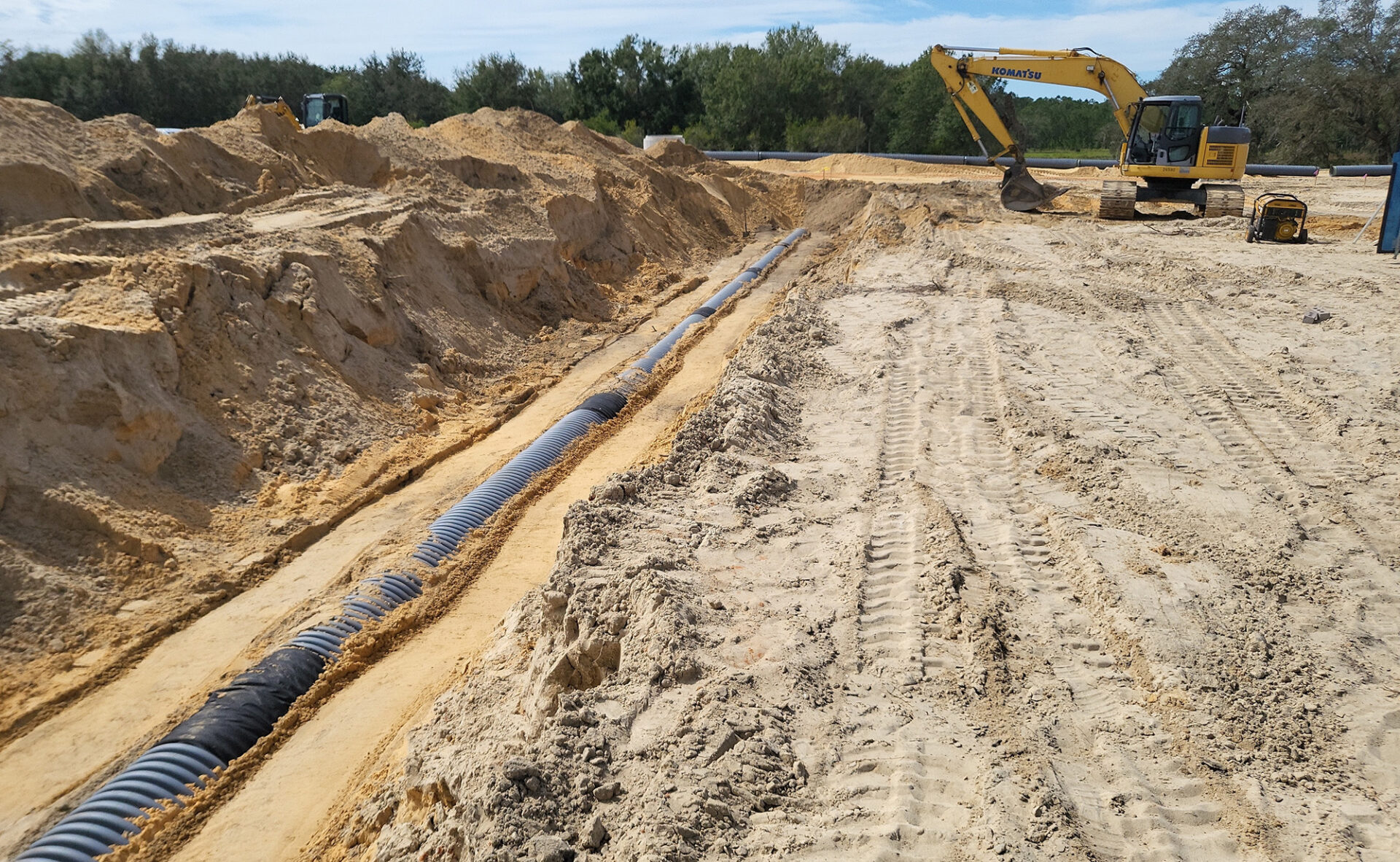 Young, Diverse and with a Knack for Complexity - NPSG Development