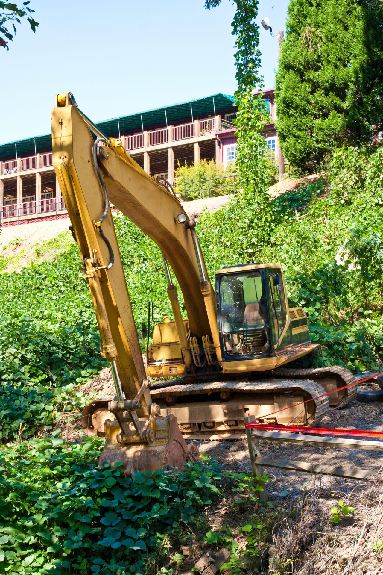 Invasive Materials – Construction, the Natural Way - Apeiron Construction