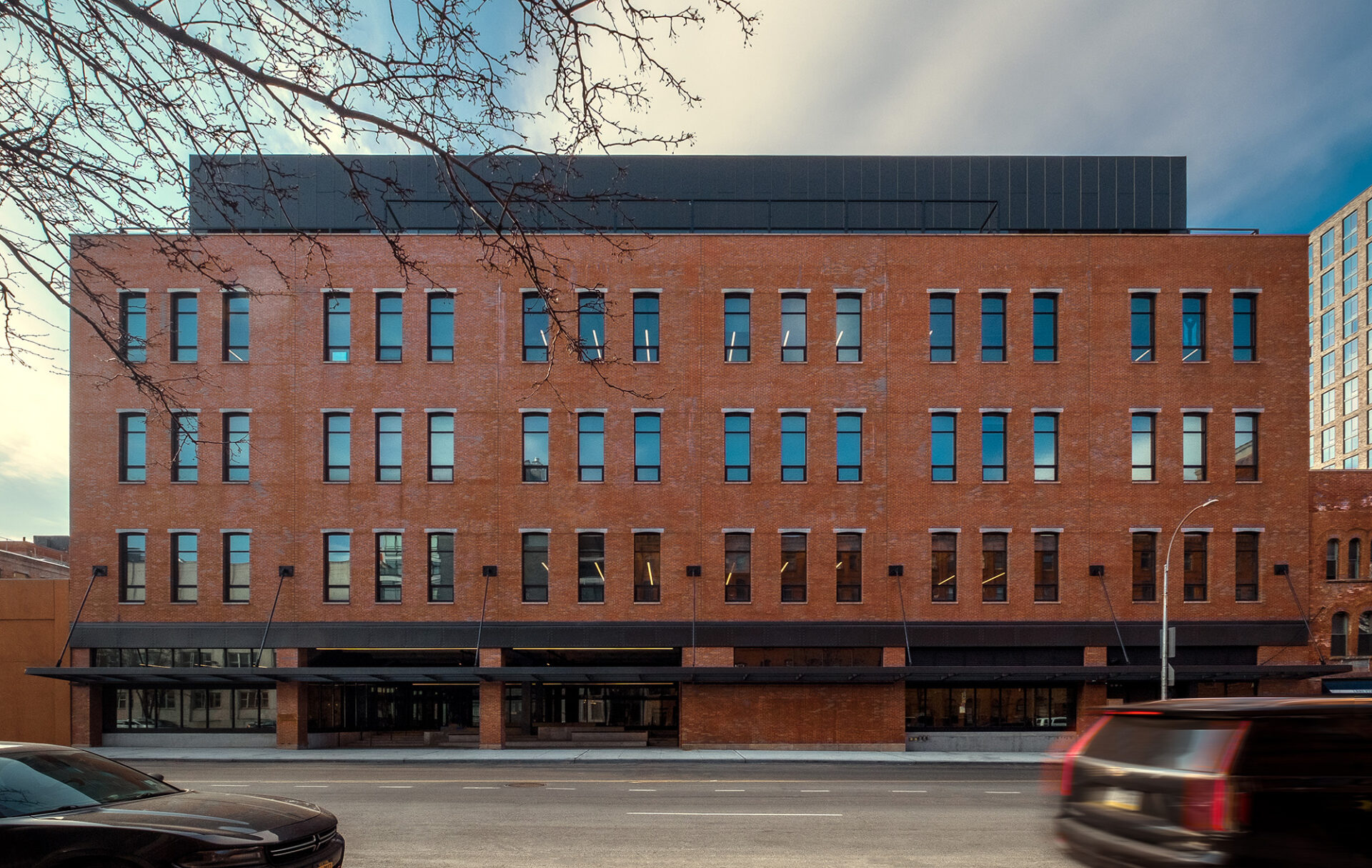 Your Steady Hand - DBI Projects - Apeiron Construction